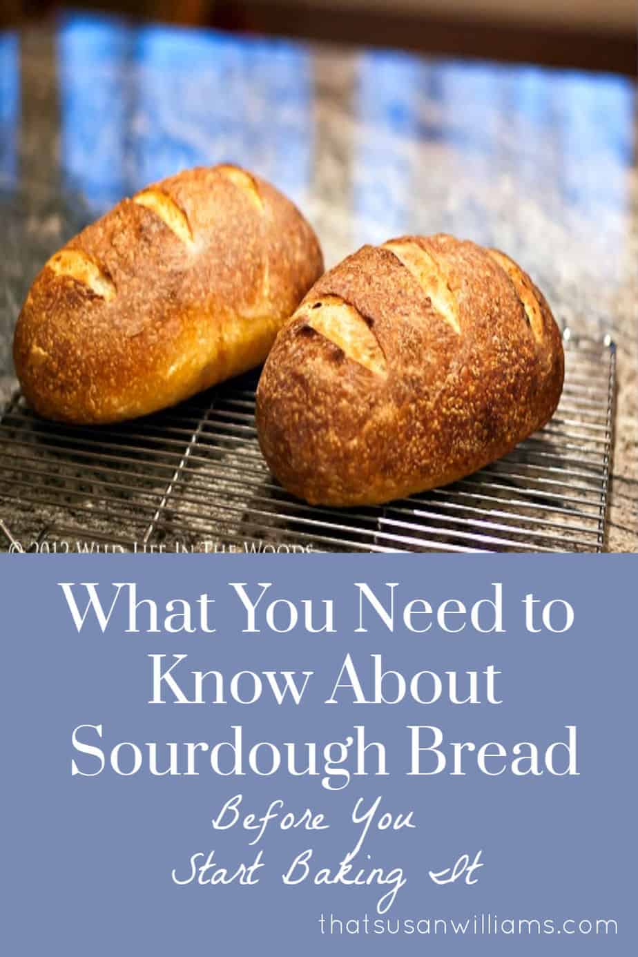 How to Make Sourdough Bread: The Deflating Truth - That Susan Williams