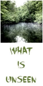 What Is Unseen - That Susan Williams