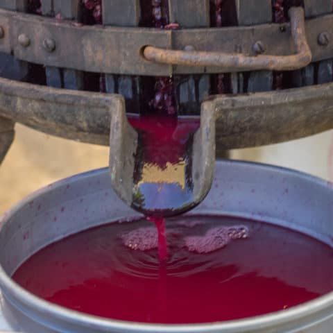 How To Make Homemade Wine with Video - That Susan Williams