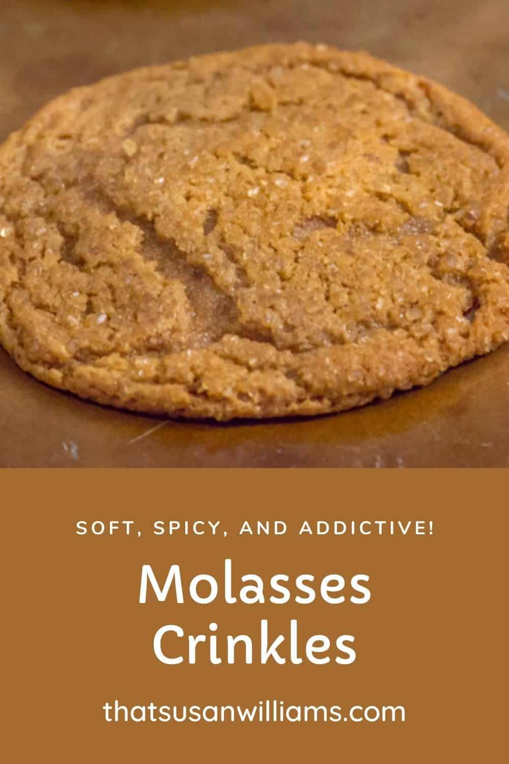 Molasses Crinkles: an Award Winning Cookie - That Susan Williams